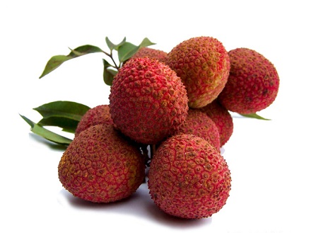 Canned Lychee - YANTAI CHANGSHENG FOOD